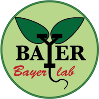 March 1st, 2023: Back in the SFB1101 – Bayer lab